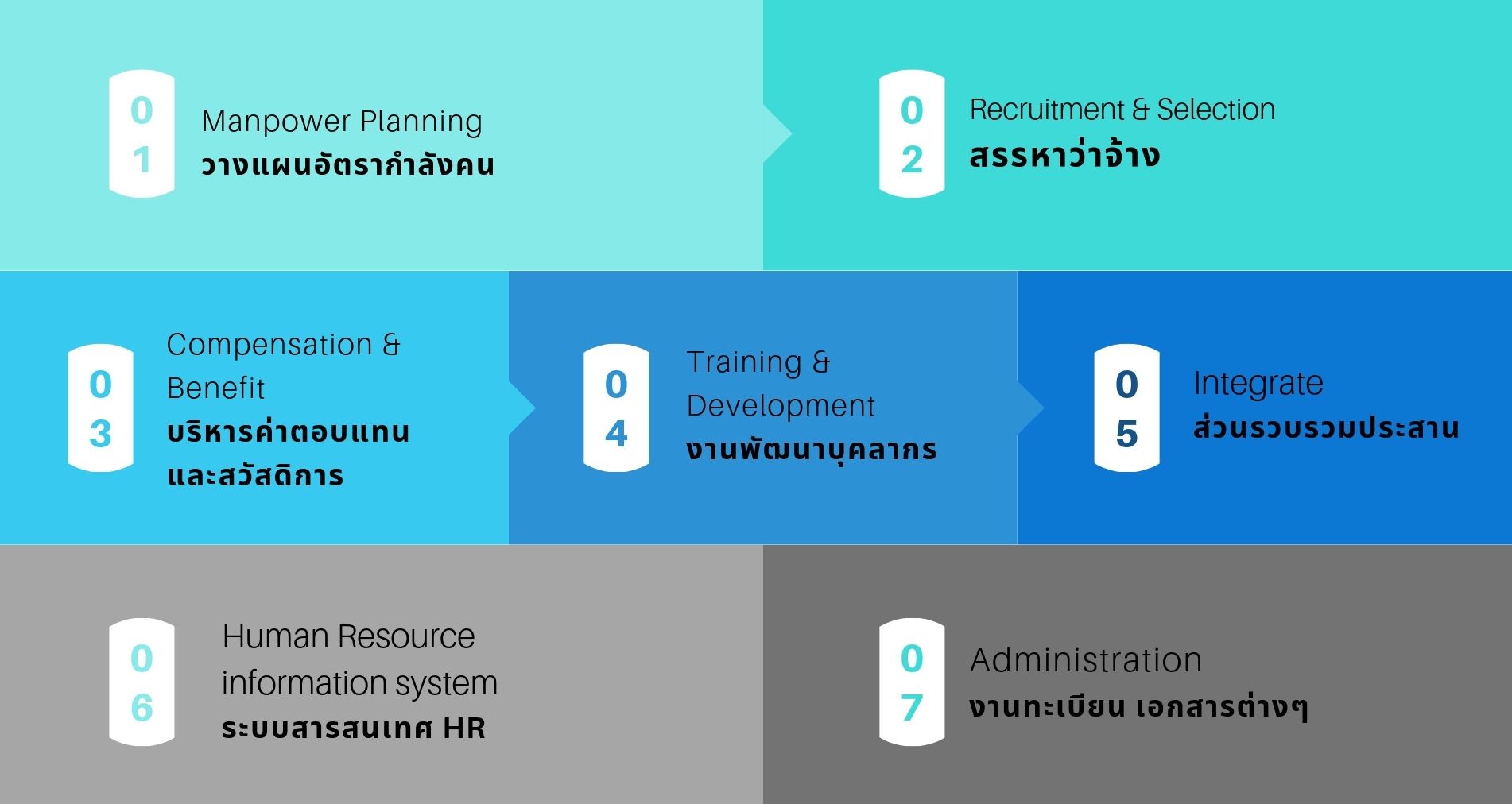 ทำความรู้จักสายงาน HR - GETHR.CO